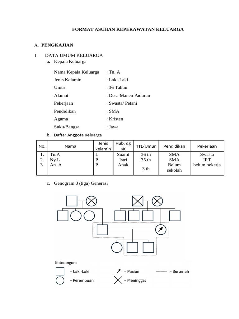 Resume Keluarga Anisa | PDF | Kesehatan Holistik