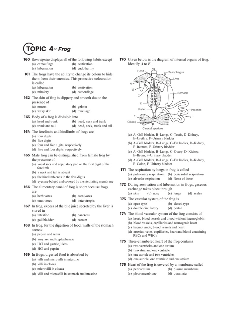 Frog | PDF | Tissue (Biology) | Epithelium
