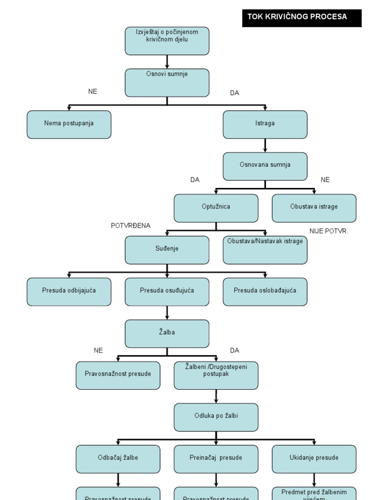 Krivicni Postupak | PDF