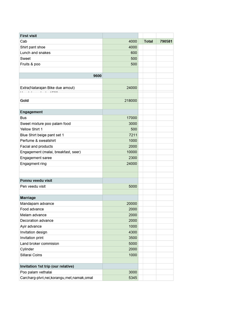 Rahul MRG Expense - PDF 1 | PDF | Clothing
