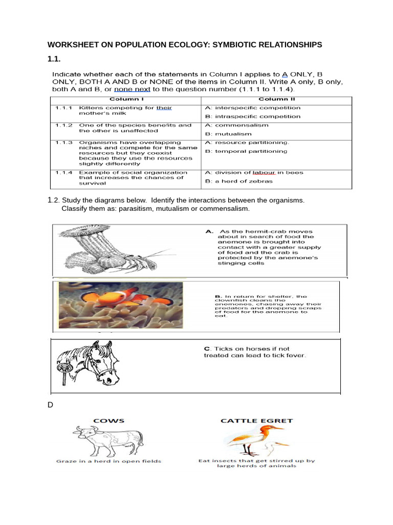 Grade 11 Population Ecology Worksheet | PDF