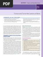 Lodwick Classification for Bone Tumor Growth | PDF | Medical Imaging ...
