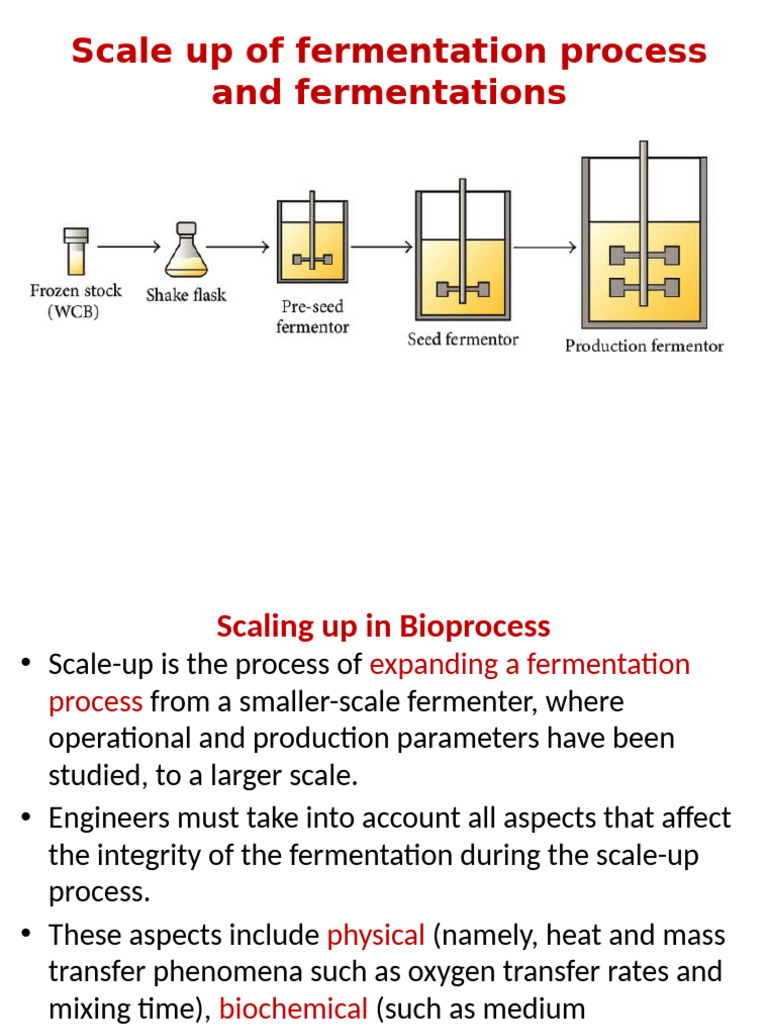 Scale Up of Bioreactor | PDF | Chemistry | Applied And ...