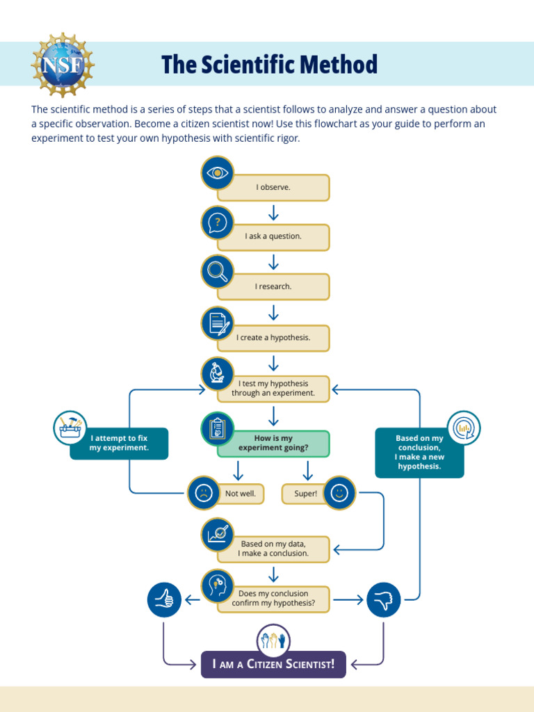 The Scientific Method Activity Sheet | PDF