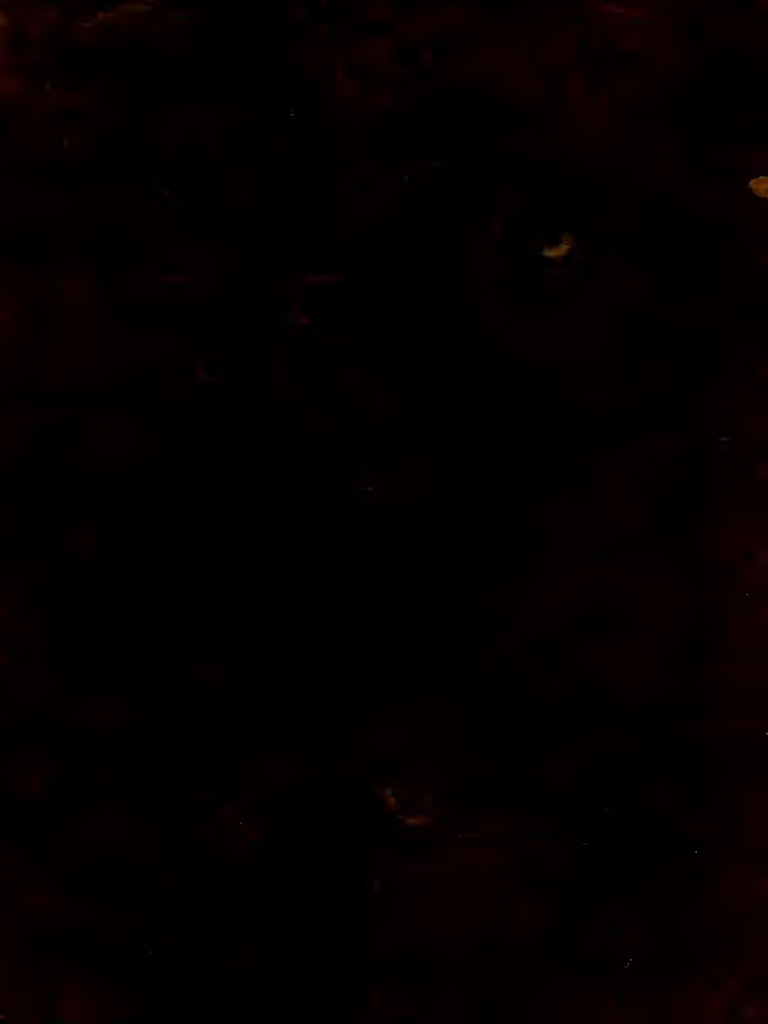 BERTIUS, Petrus. The Life and Death of James Arminius and Simon ...