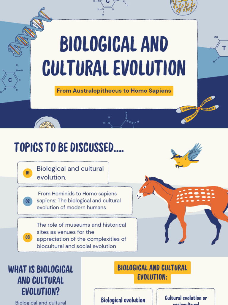 Human Evolution: Biology & Culture | PDF | Social Science | Science ...