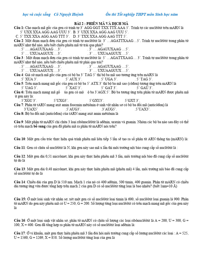Bai 2 - Bai Tap | PDF