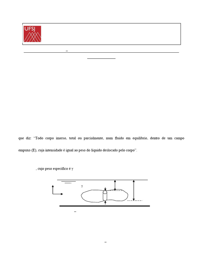Roteiro Da 3 Aula Prática MecFlu | PDF | Flutuabilidade | Líquidos