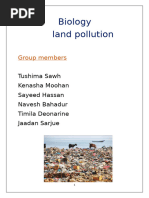 Geography (Land Pollution) Project | PDF