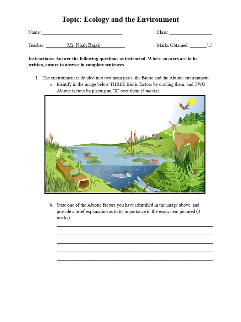 Grade 9 Biology Coursework #1 | PDF | Ecology | Ecosystem