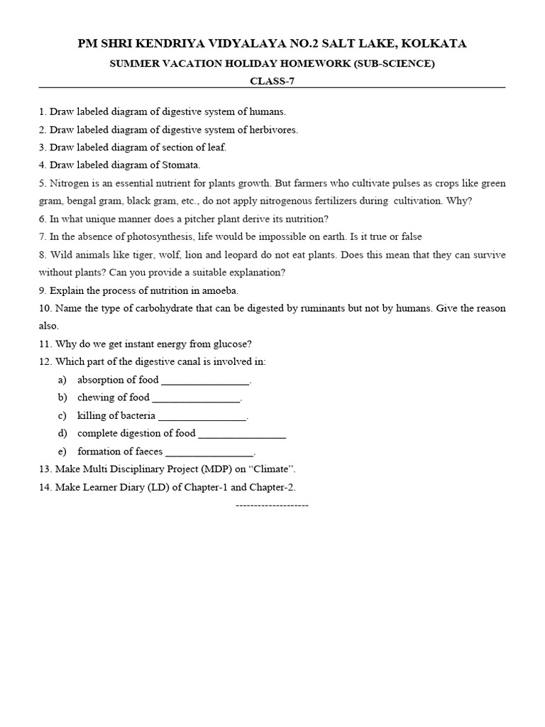 Class 7 Science Holiday Homework Guide | PDF