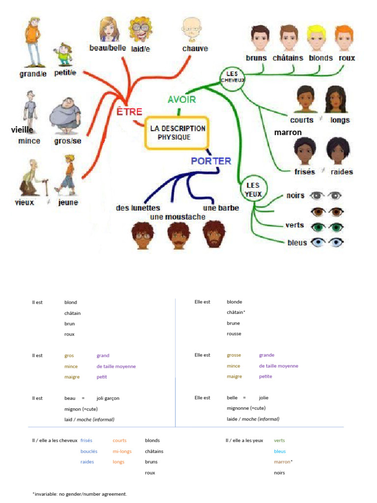 Vocabulaire de la description physique | PDF