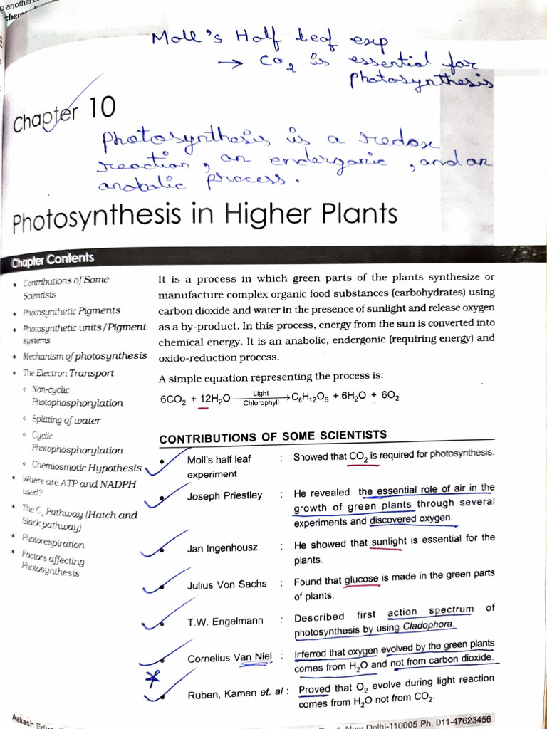Photosynthesis (NEET) | PDF | Photosynthesis | Chlorophyll