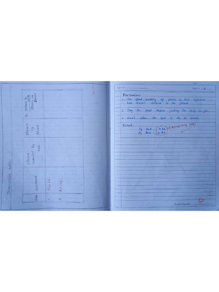 Expt 1. Chromatography (Blue and Red Ink) - PG 2 | PDF