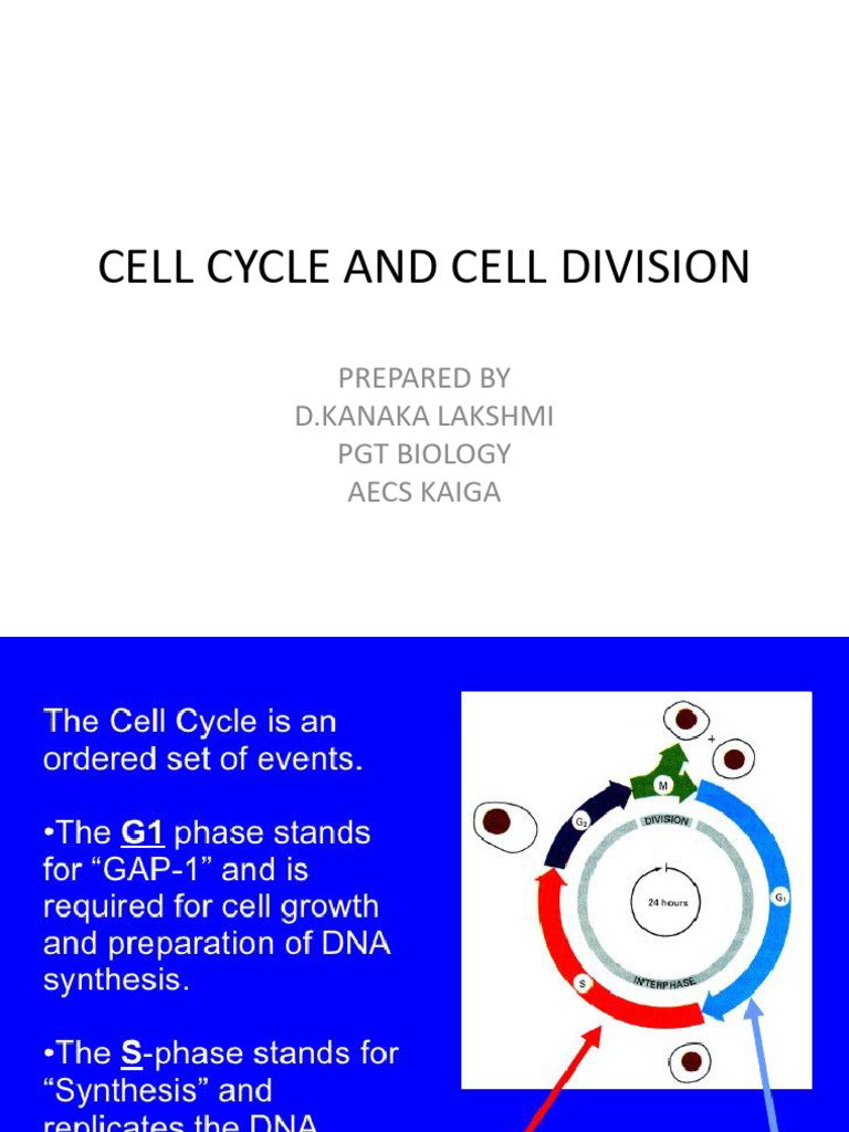 Cell Cycle and Cell Division: Prepared by D.Kanaka Lakshmi PGT Biology ...