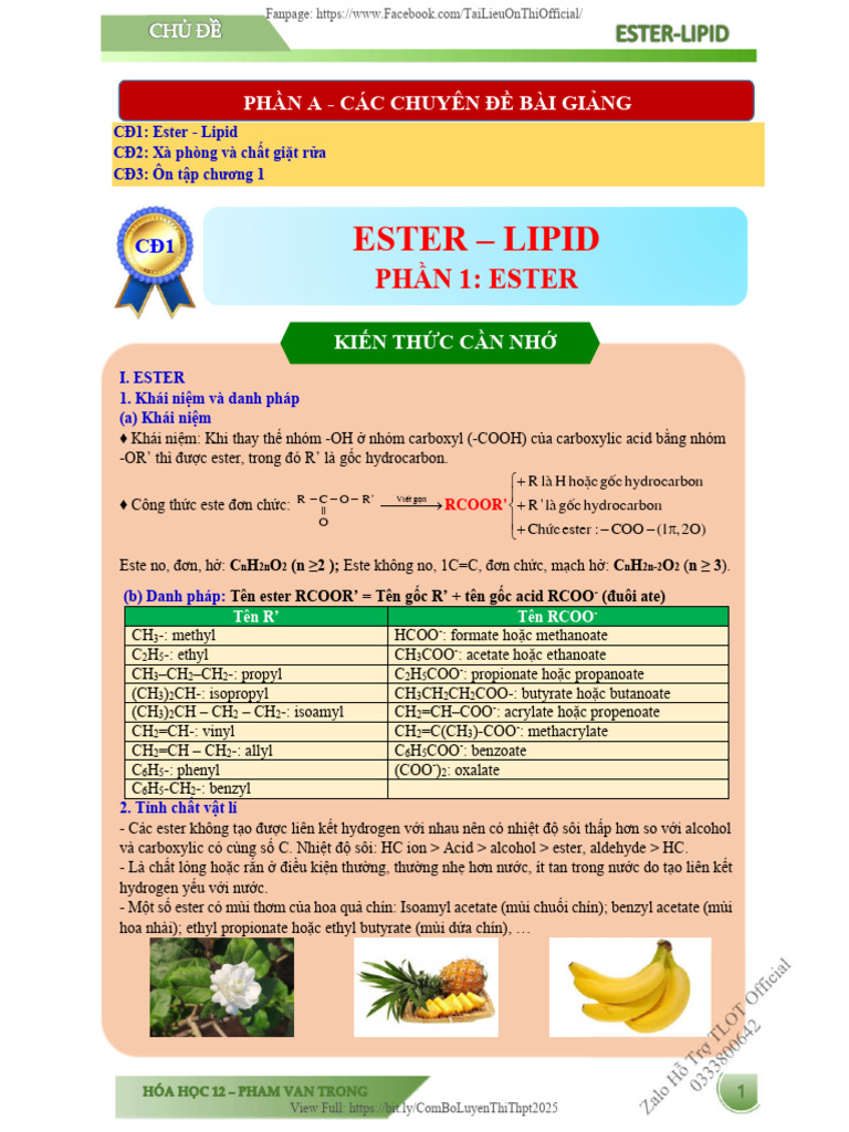 (TỜ 01) HÓA 12-CHƯƠNG 1-ESTER-LIPID-ĐỀ | PDF