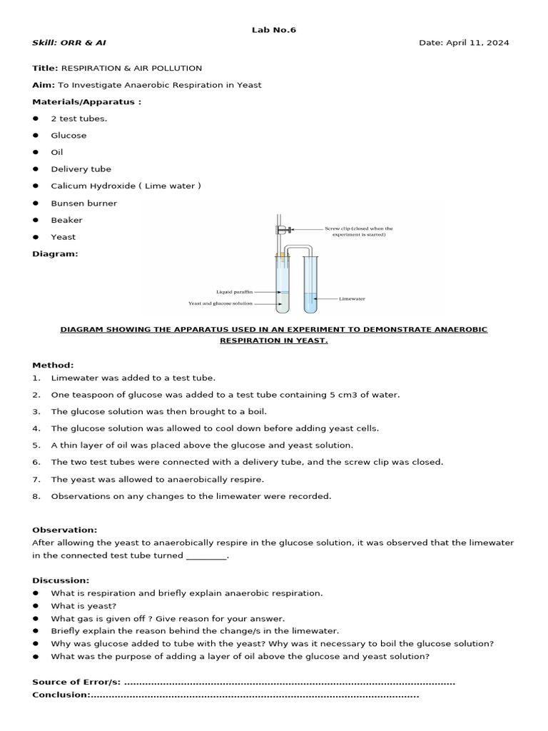 Lab No 6 - To Investigate Anaerobic Respiration in Yeast | PDF
