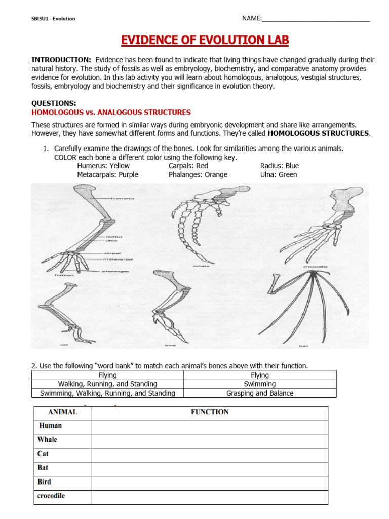 Evolution Lab for Biology Students | PDF | Homology (Biology) | Evolution