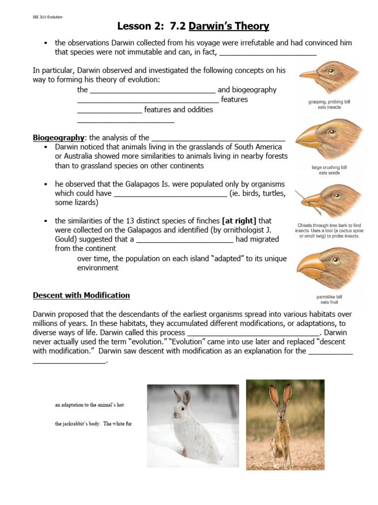Darwin's Evolution Theory Explained | PDF | Natural Selection | Genetic ...