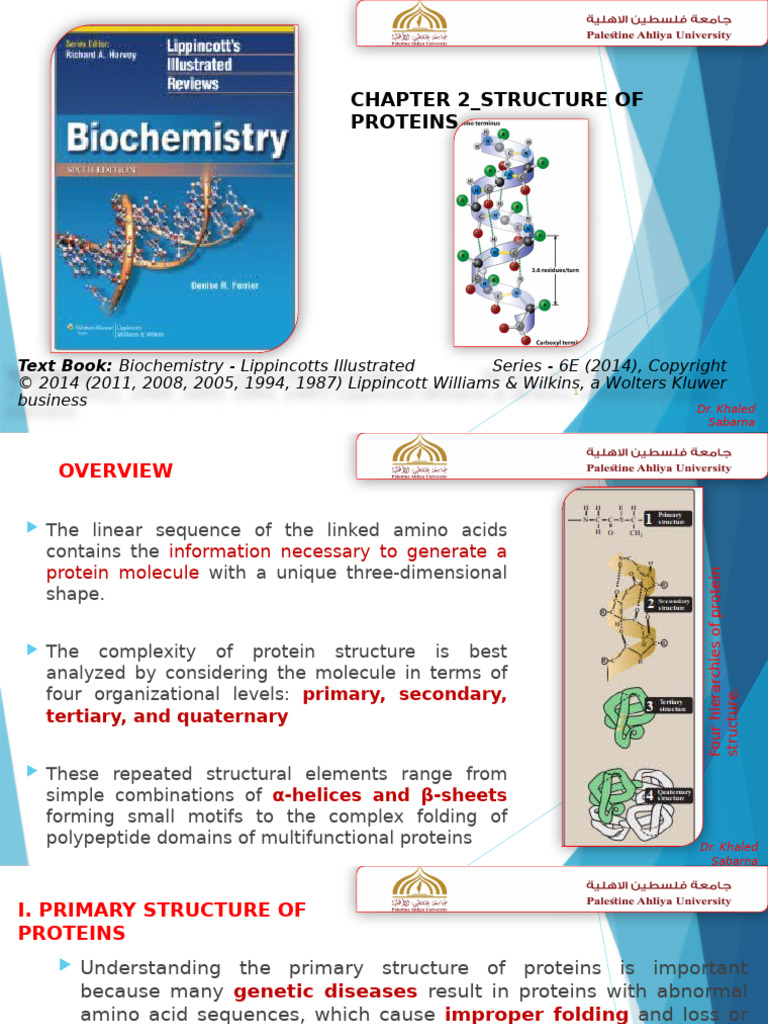 Chapter 2 - Structure of Proteins | PDF | Protein Structure | Beta Sheet