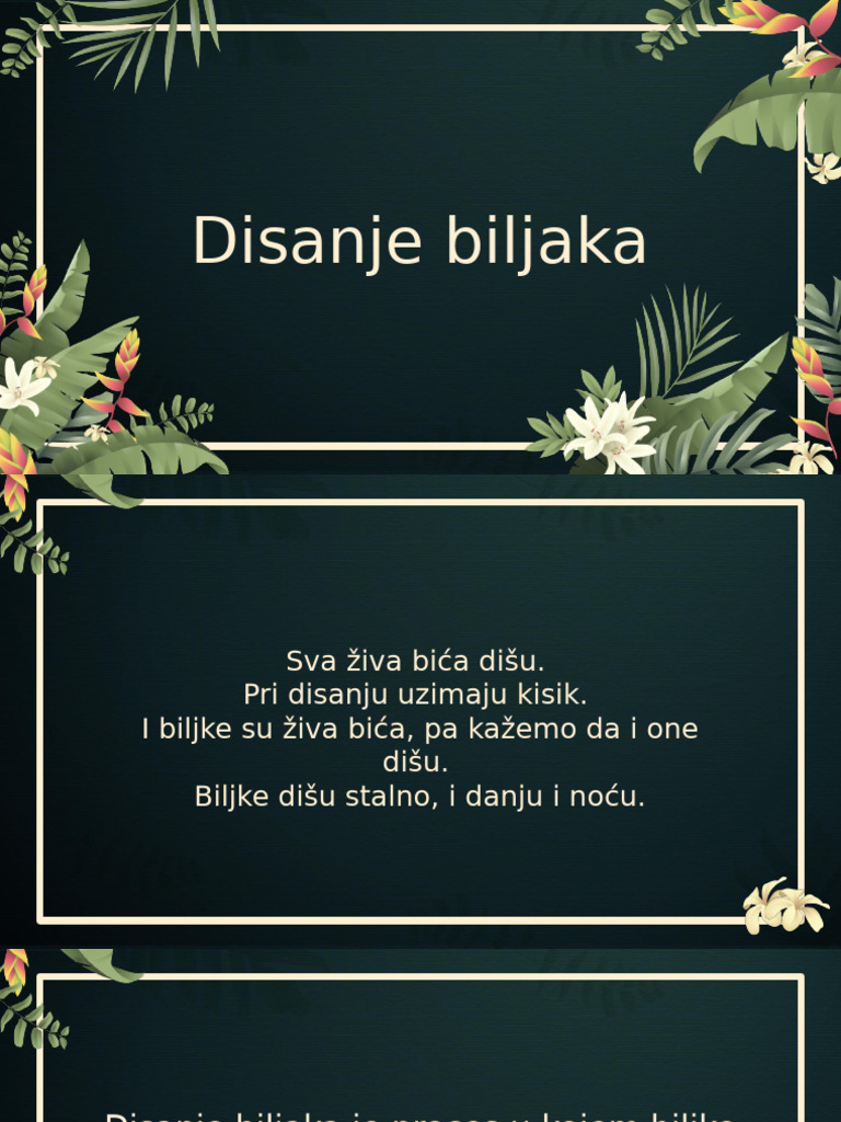 Disanje Biljaka - Prezentacija - Priroda Za V Razred - Elvir Buljubašić | PDF