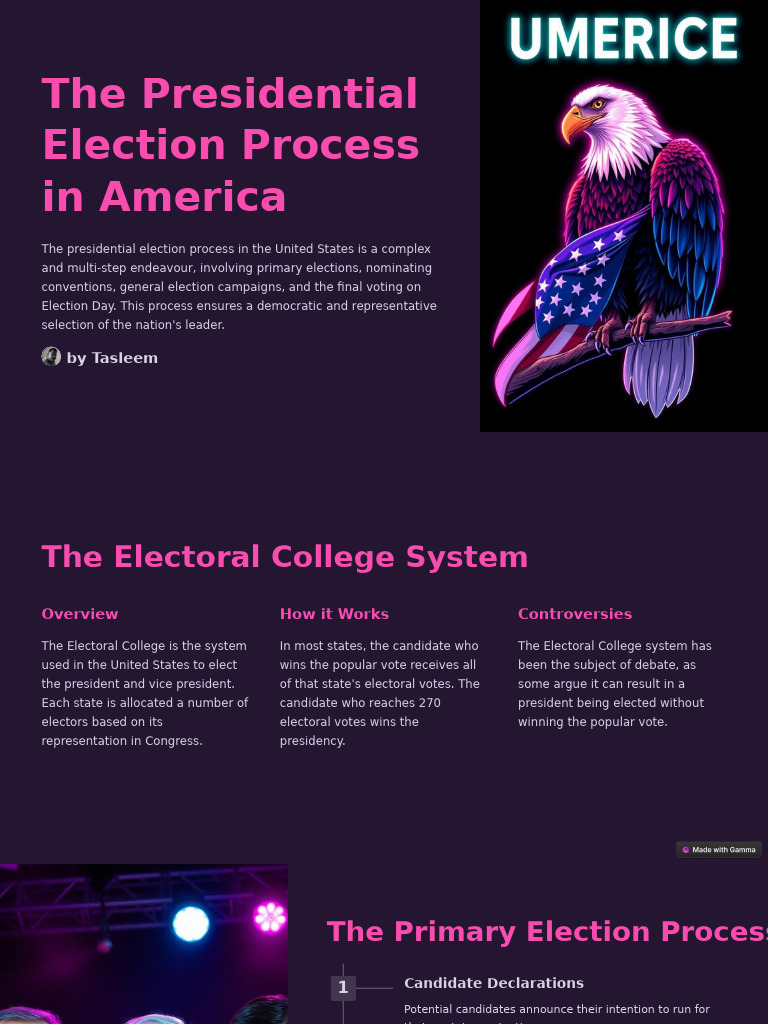 The Presidential Election Process in America | PDF | Voting | Elections