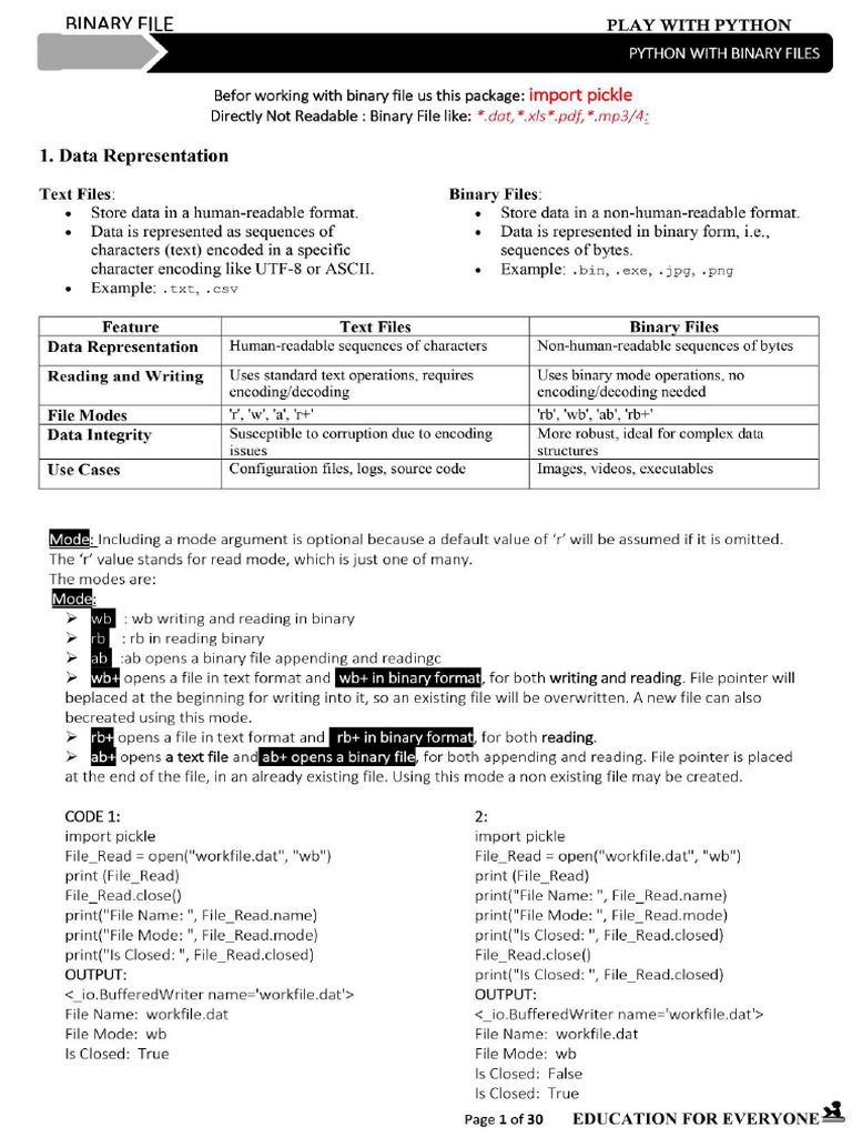 5 Binary Files | PDF