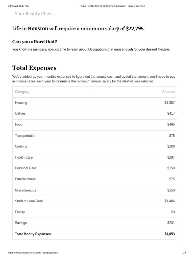 Texas Reality Check - Lifestyle Calculator - Total Expenses | PDF ...