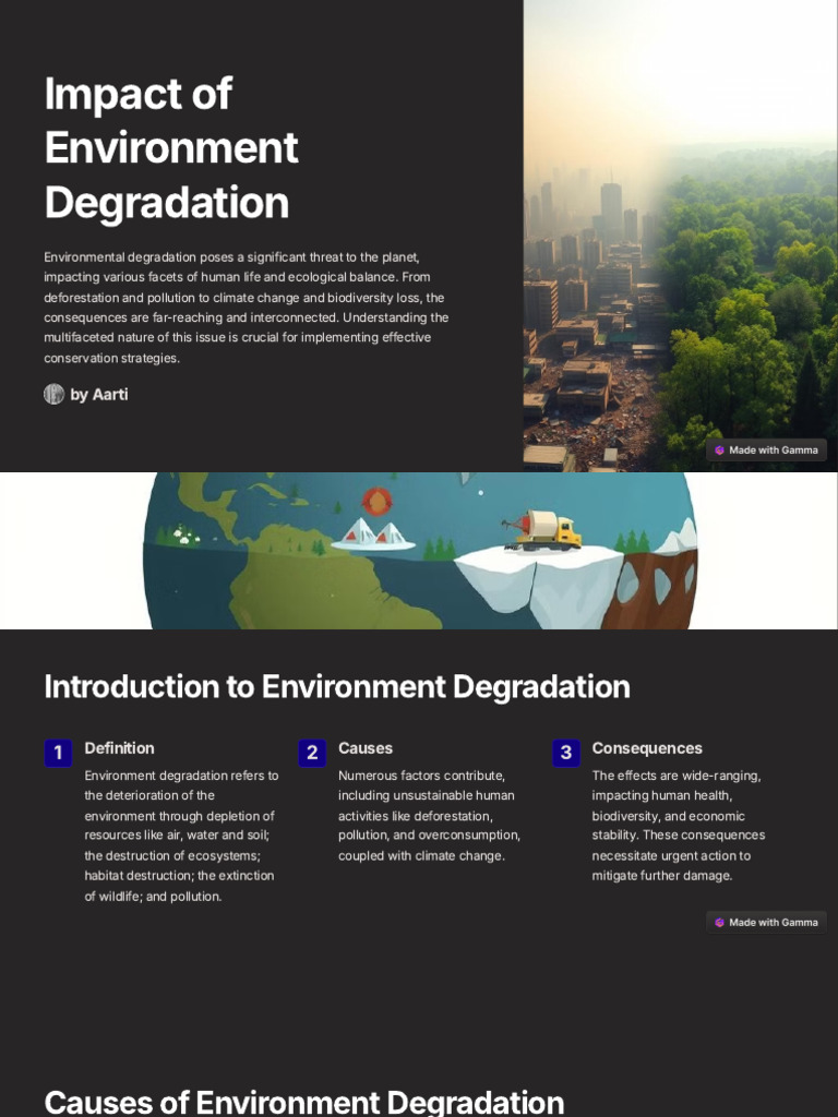 Understanding Environmental Degradation | PDF | Environmental ...