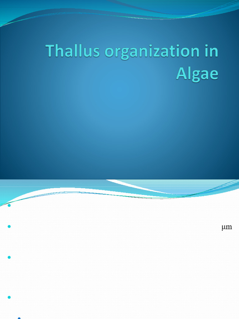Thallus Organization in Algae | PDF | Cell (Biology) | Algae