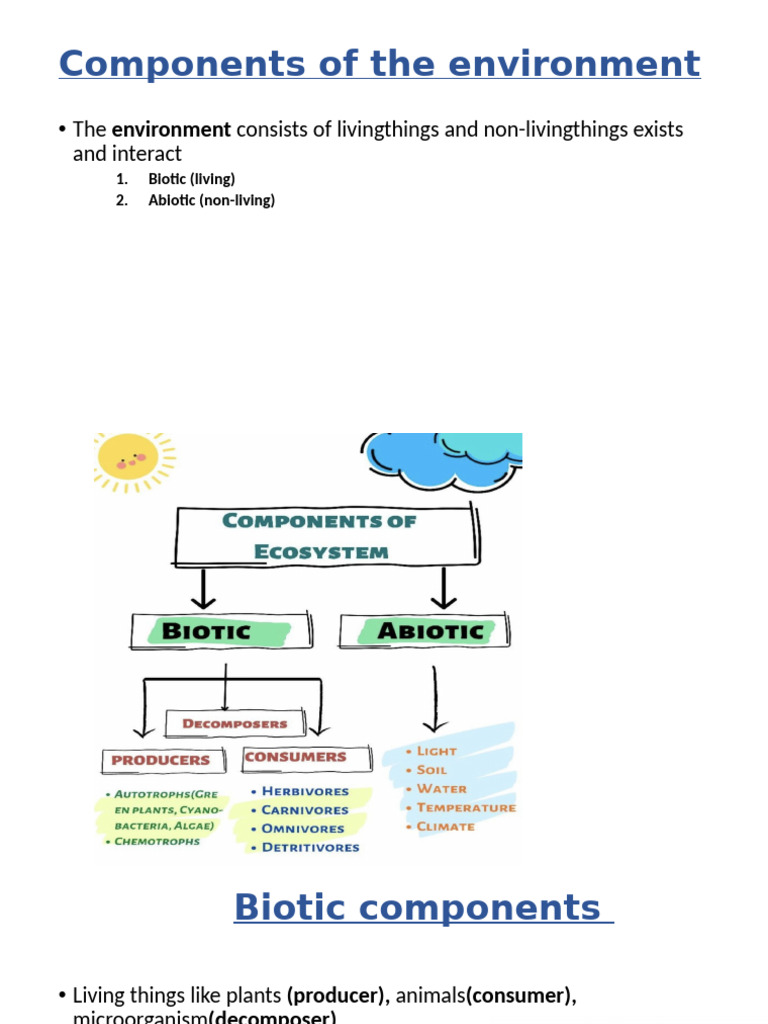 Components of The Environment | PDF | Wellness