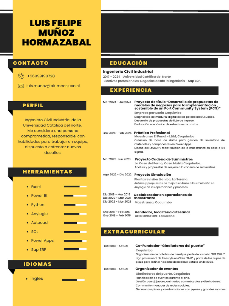 CV - Luis Felipe Muñoz Hormazabal | PDF | Informática