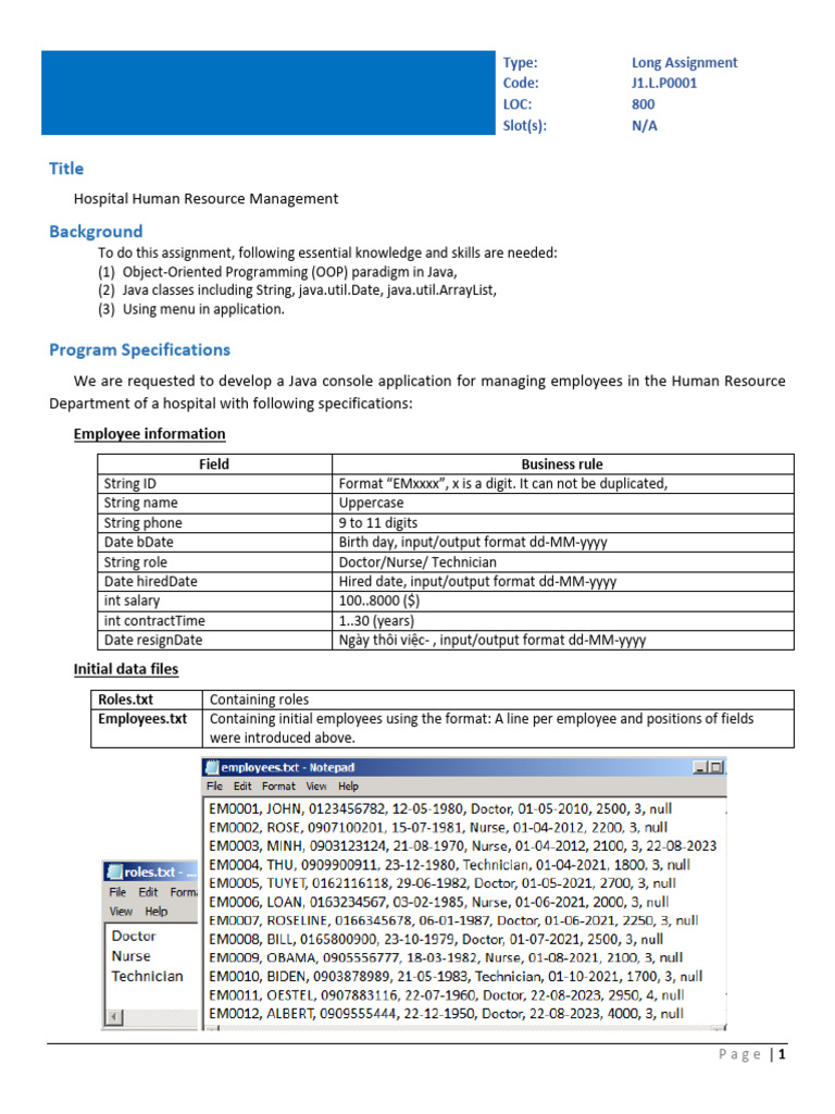 Hospital HR 700 LOC | PDF | Menu (Computing) | Software