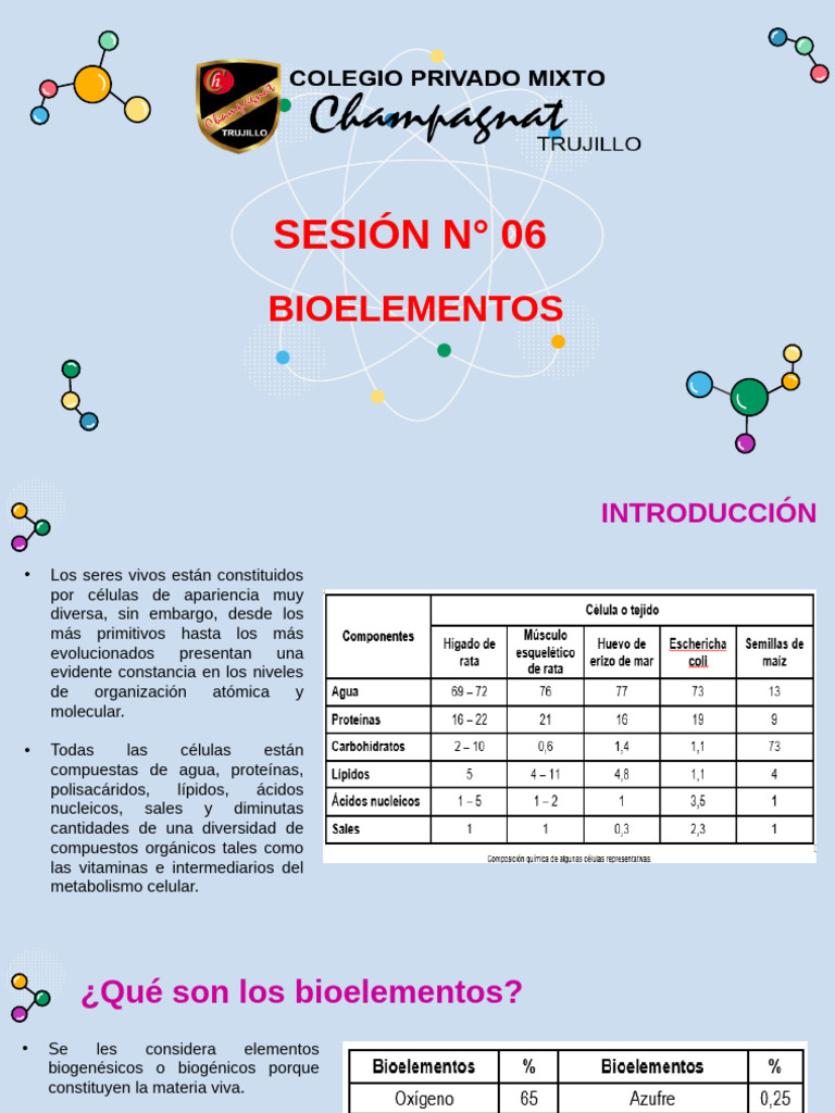 Sesion 6 Bioelementos | PDF | Biomoléculas | Organismos