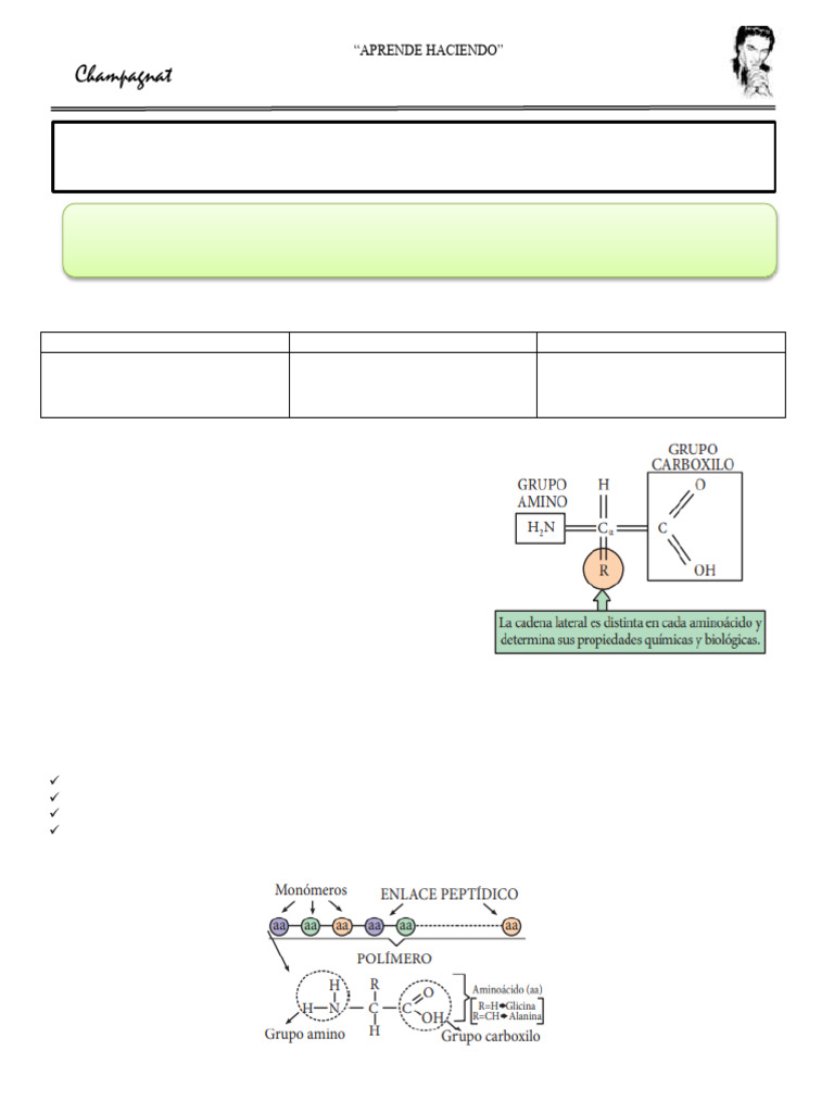 Sec 4° Cyt U3 | PDF | Ácidos nucleicos | Traducción (biología)