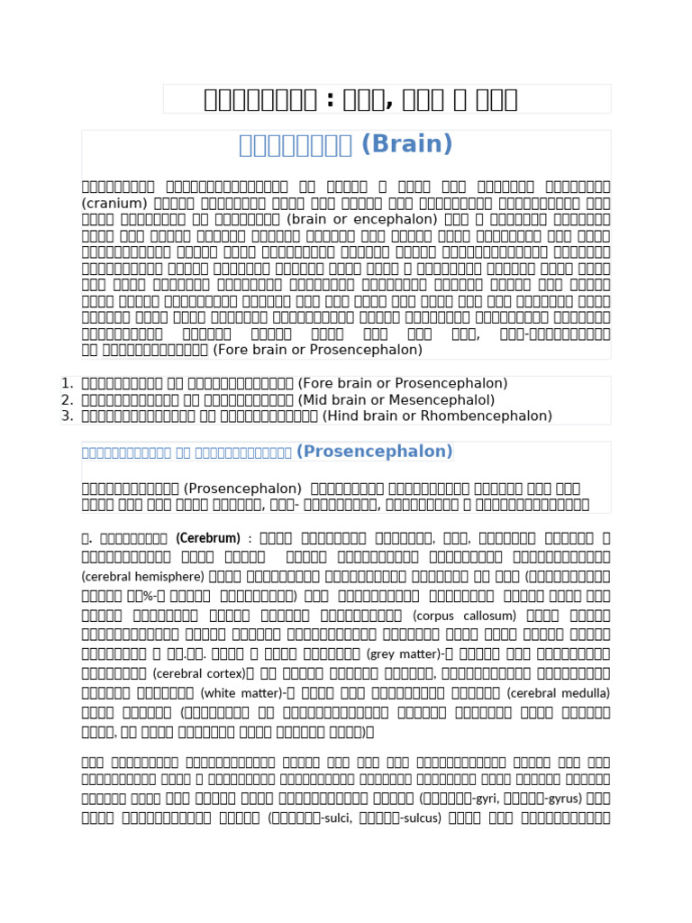 Class - 8 - Brain Structure | PDF