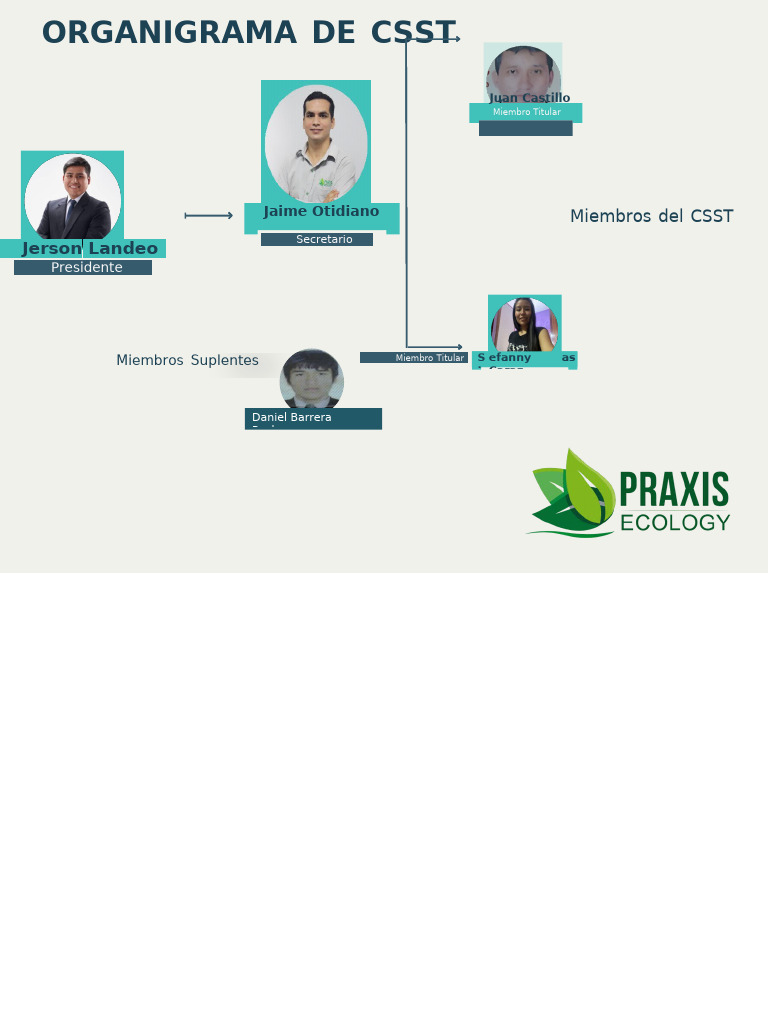 ORGANIGRAMA CSST - 2024- | PDF