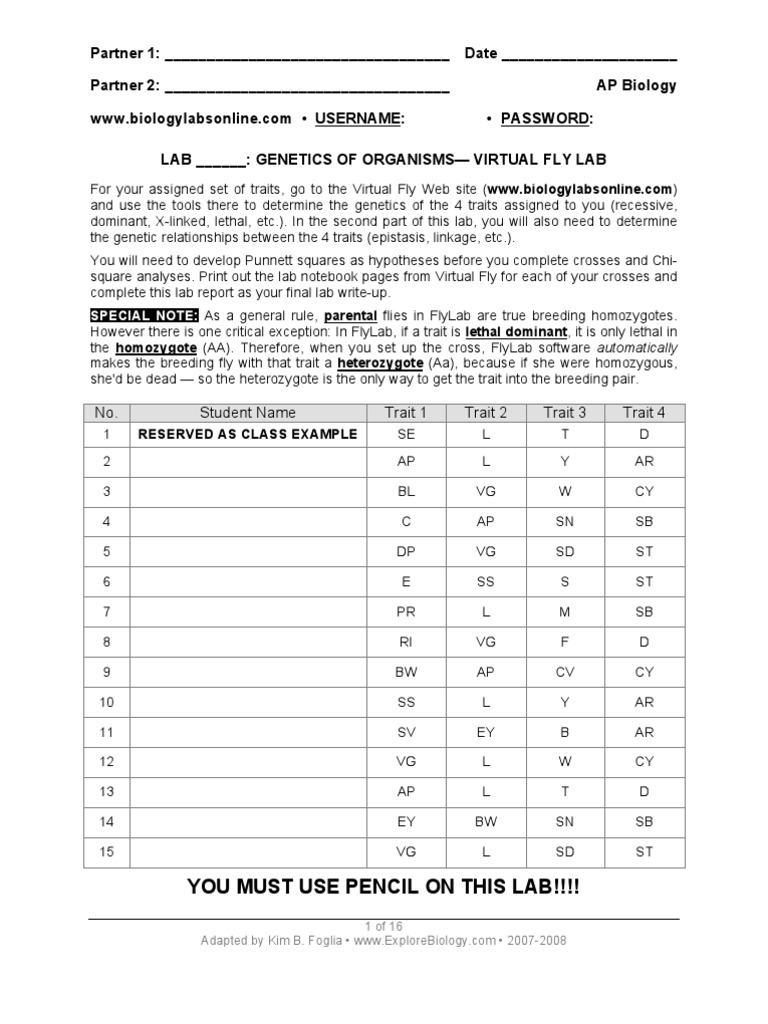 Lab 24 Virtual Fly 2007 | PDF | Epistasis | Genetic Linkage