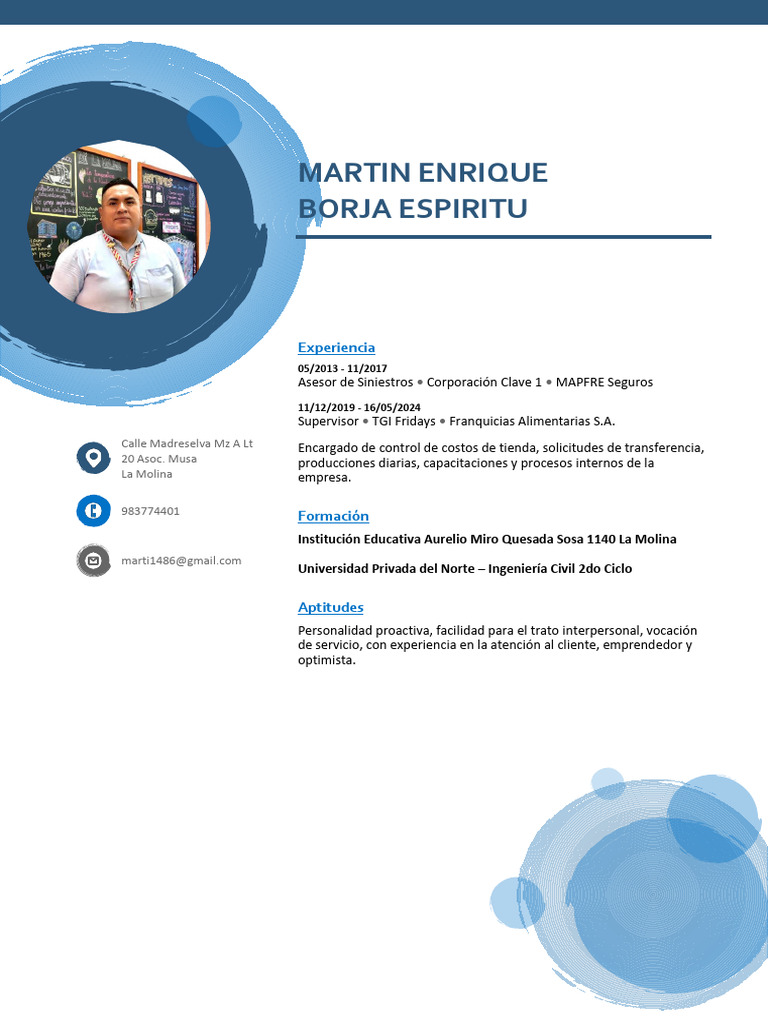 CV Martin Borja | PDF | Negocios
