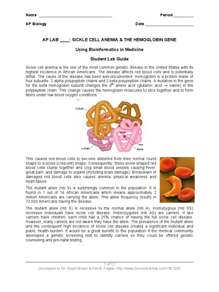 Sickle Cell Student-Lab | PDF | Mutation | Single Nucleotide Polymorphism