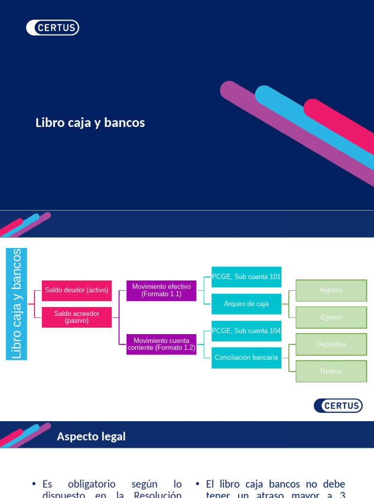 Guía del Libro Caja y Bancos | PDF | Bancos | Cheque
