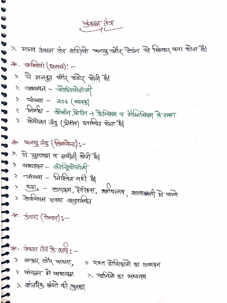 Skeletal System Hindi (Handwritten Notes | PDF