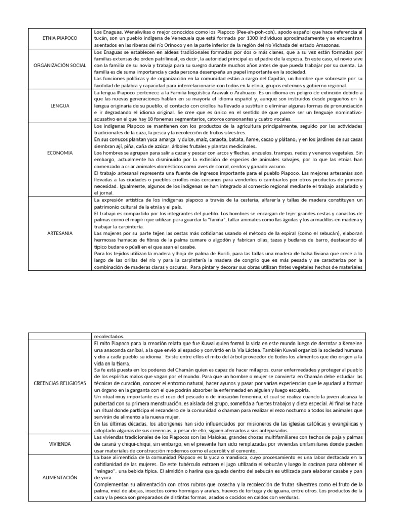 Etnia Piapoco | PDF | Chamanismo