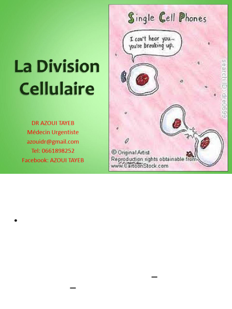 Cycle et Division Cellulaire | PDF | Cellule (Biologie) | Méiose