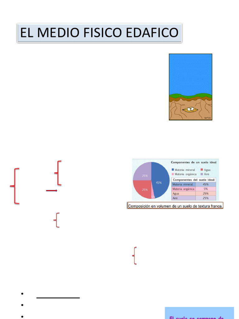 El Medio Fisico Edafico | PDF | Suelo | Dióxido de carbono