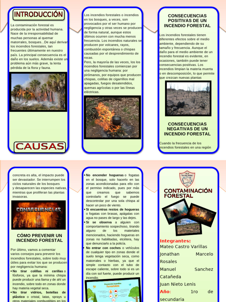 Triptico Contaminacion Forestal | PDF | Fuego fatuo | Los bosques