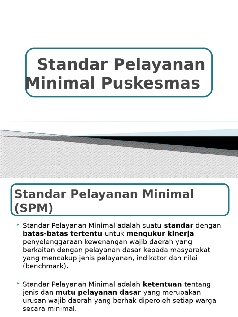 Standar Pelayanan Minimal Puskesmas | PDF