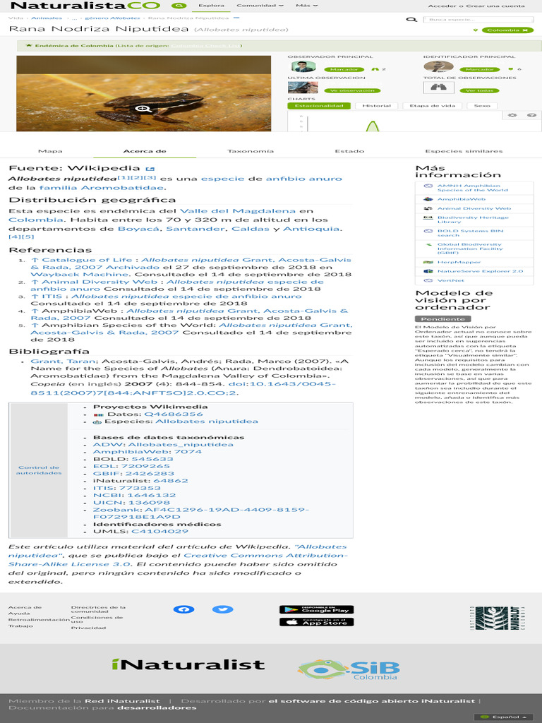 Rana Nodriza Niputidea (Allobates Niputidea) NaturaLista Colombia | PDF