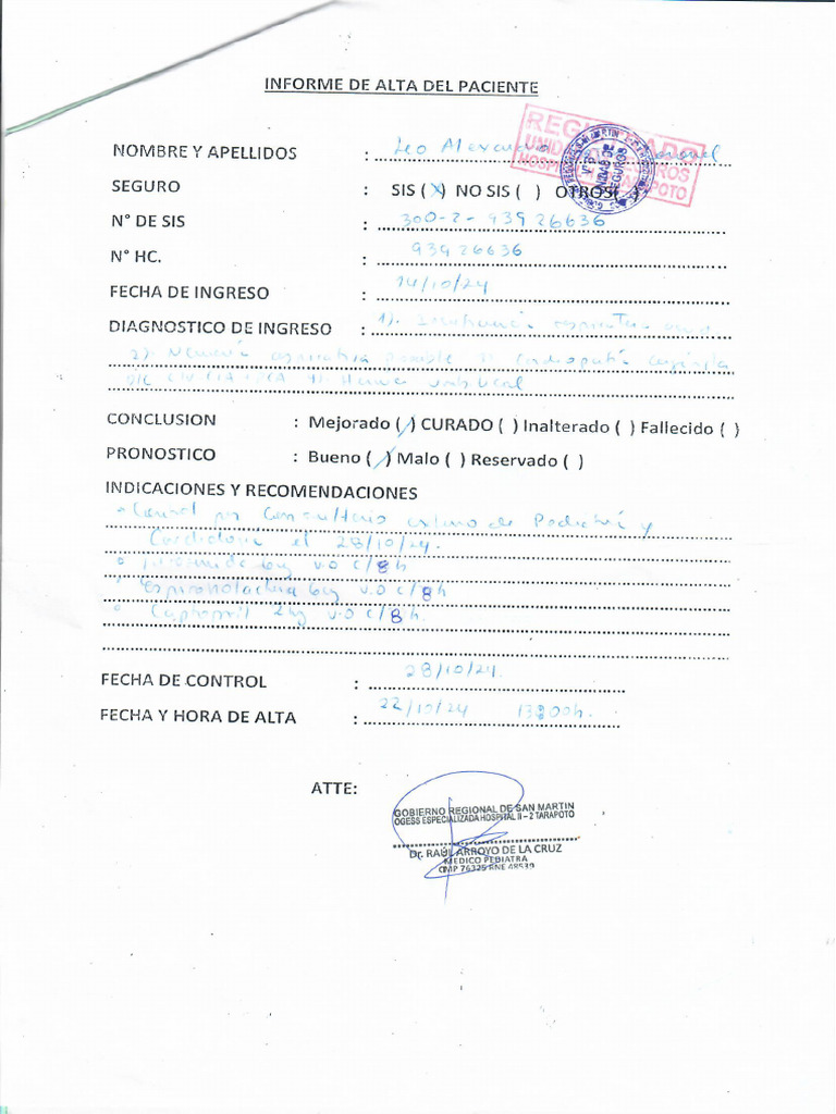 Leo Alexandro Informe 20241025 2 | PDF