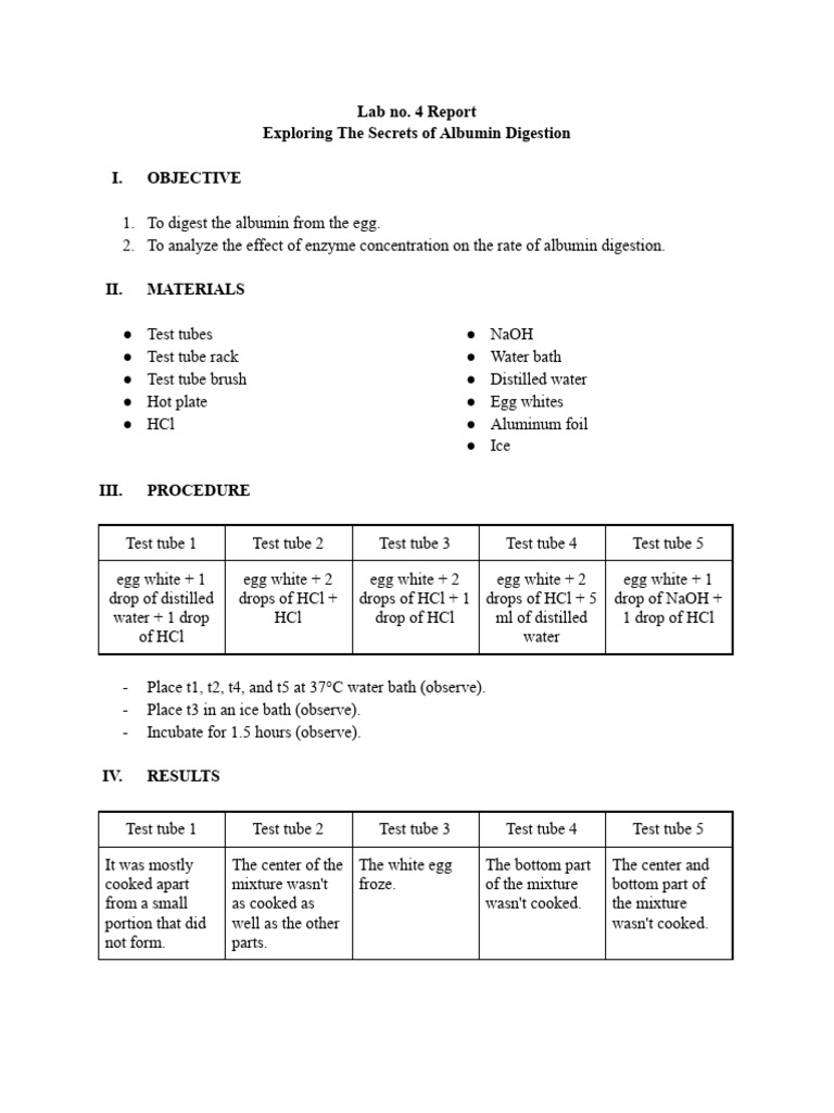 Lab no. 4 Report | PDF